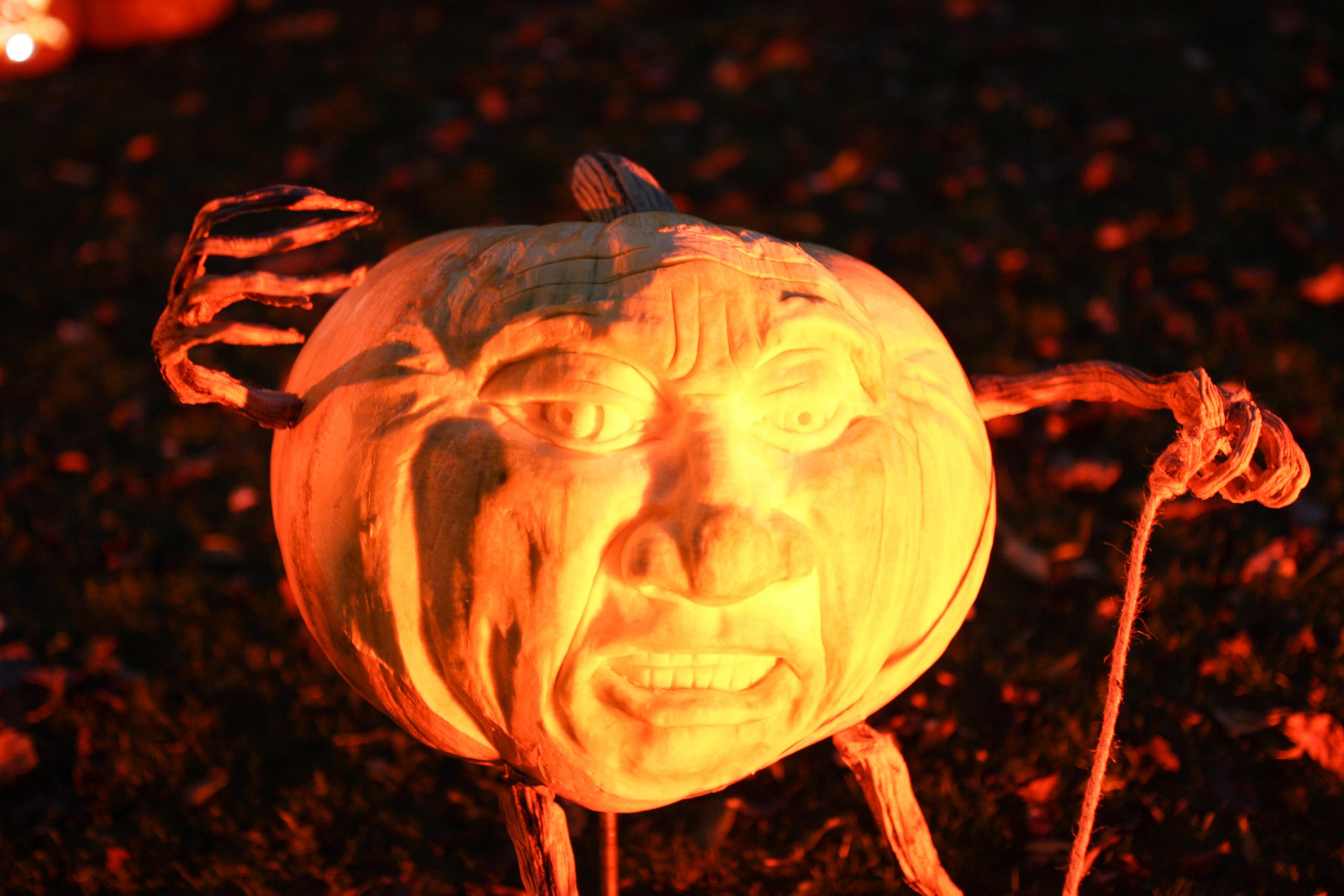 Pumpkin Carving Showcase | Sand In Your Eye