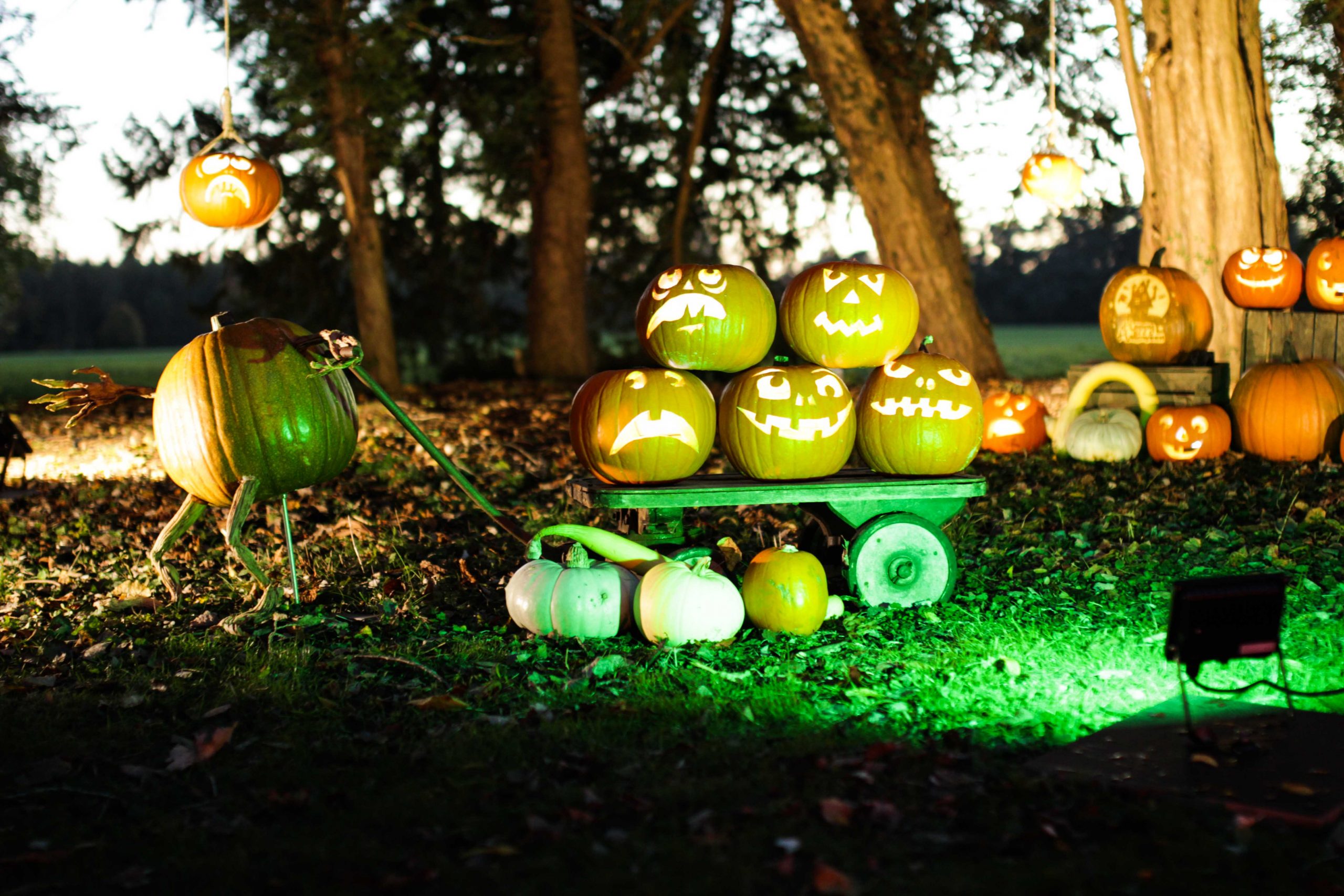 Pumpkin Carving Showcase | Sand In Your Eye