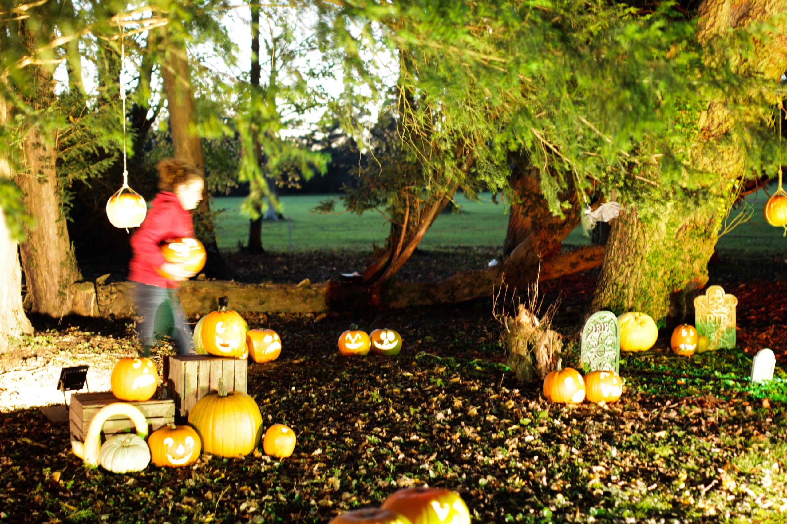 Pumpkin Carving Showcase | Sand In Your Eye